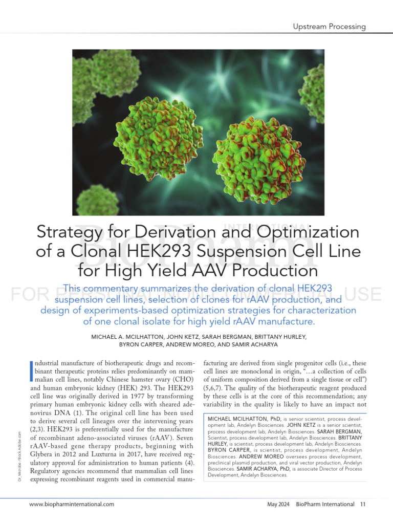 Clonal HEK293 Cell Line Optimization | PDF | Molecular Cloning | Hek ...