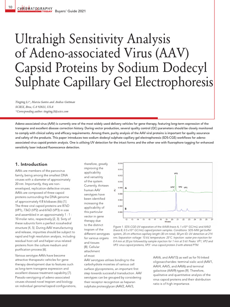 AAV Capsid Protein Analysis via SDS-CGE | PDF | Biochemistry | Chemistry