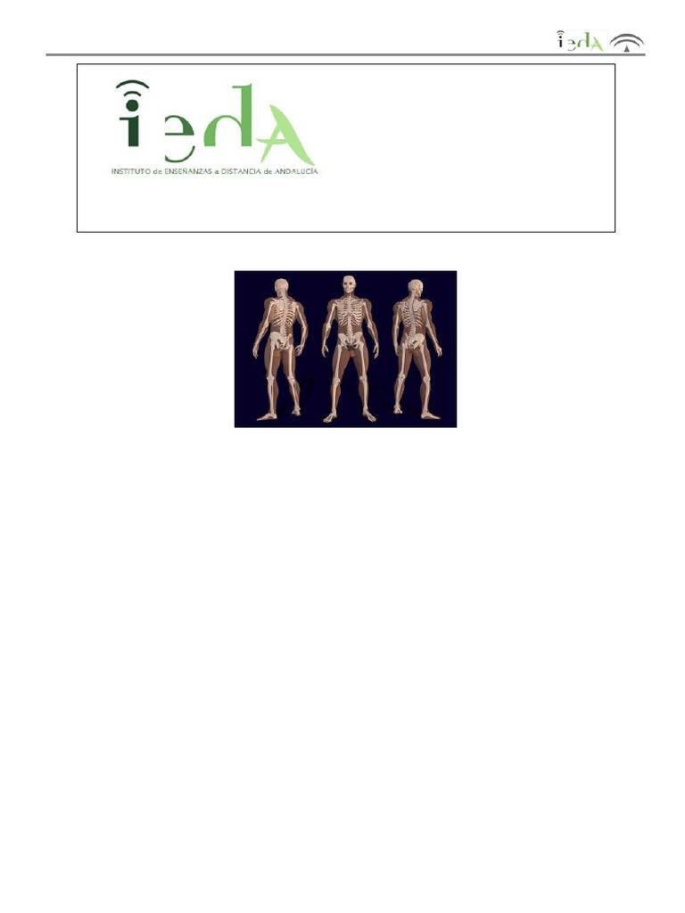 Anatomía del Sistema Óseo y Muscular | PDF | Articulación | Músculo