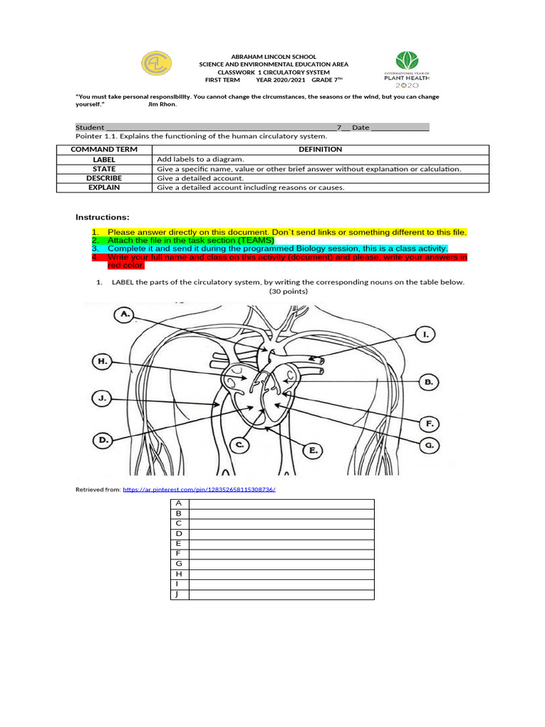 Classwork 1 Circulatory System | PDF | Artery | Heart