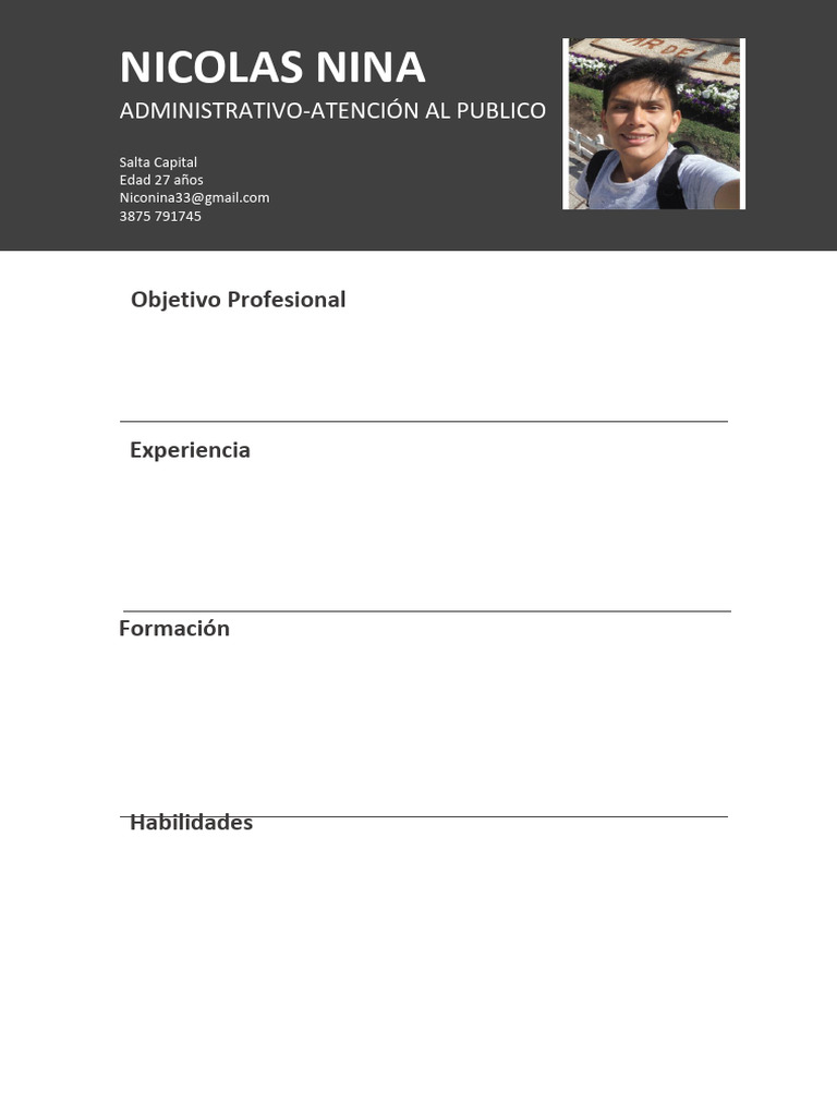 Cv-Nicolas Nina2024 | PDF