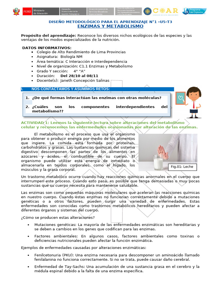 Dmpa 01-U5-T3 - 4°año - Enzimas y Metabolismo | PDF | Sitio activo | Enzima