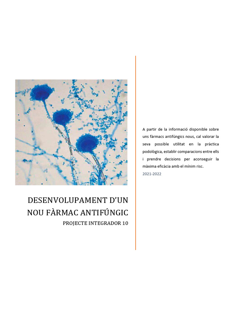 Projecte Integrador 10 | PDF