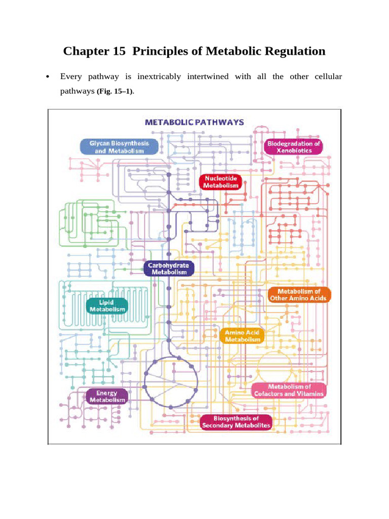 Bio 2 Chapter 15 | PDF | Glycogen | Glycolysis