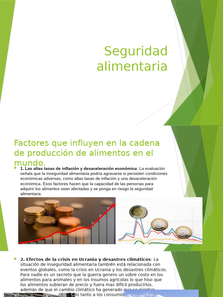 Seguridad Alimentaria | PDF | Seguridad alimentaria | Alimentos