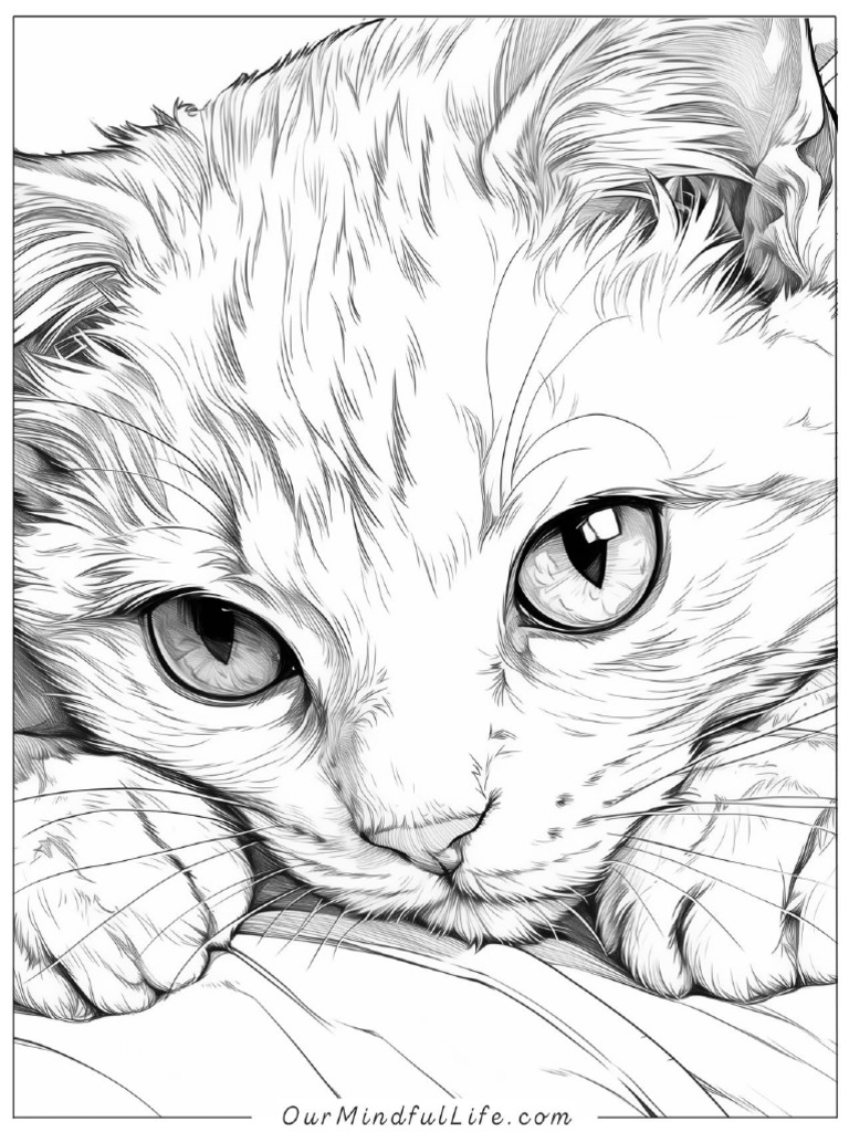 The Sleeping Cat Coloring Page | PDF