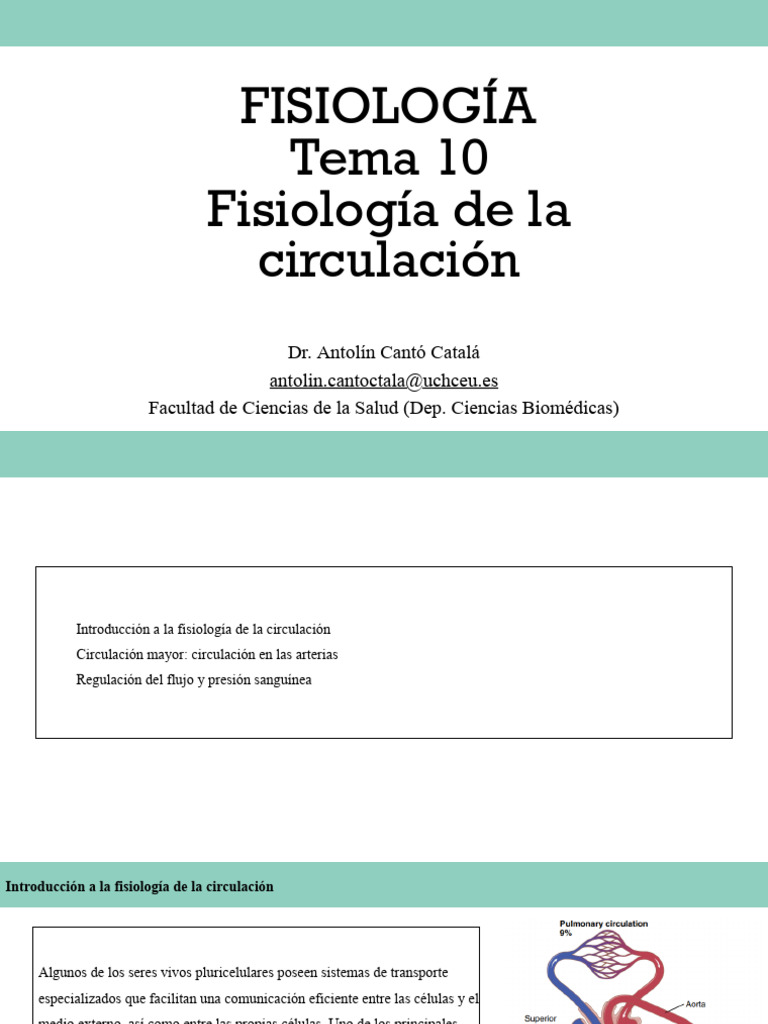Tema10 Tema11 Tema12 BUENO 2 | PDF | Sistema circulatorio | Sistema linfático