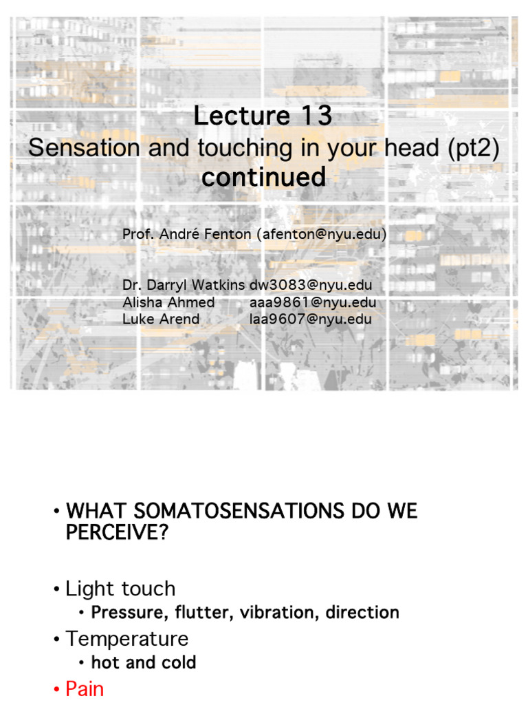 Brain and Behavior-Vision1 | PDF | Retina | Visual Acuity