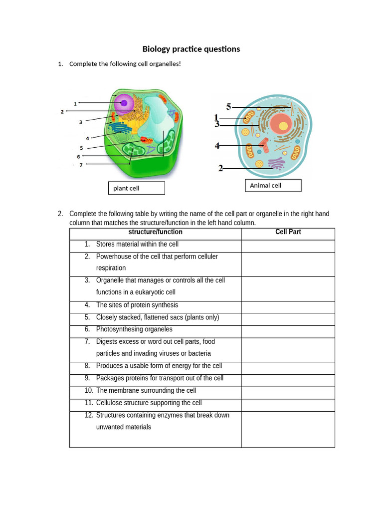 Biology Cell Organelle Practice Questions | PDF | Science & Mathematics