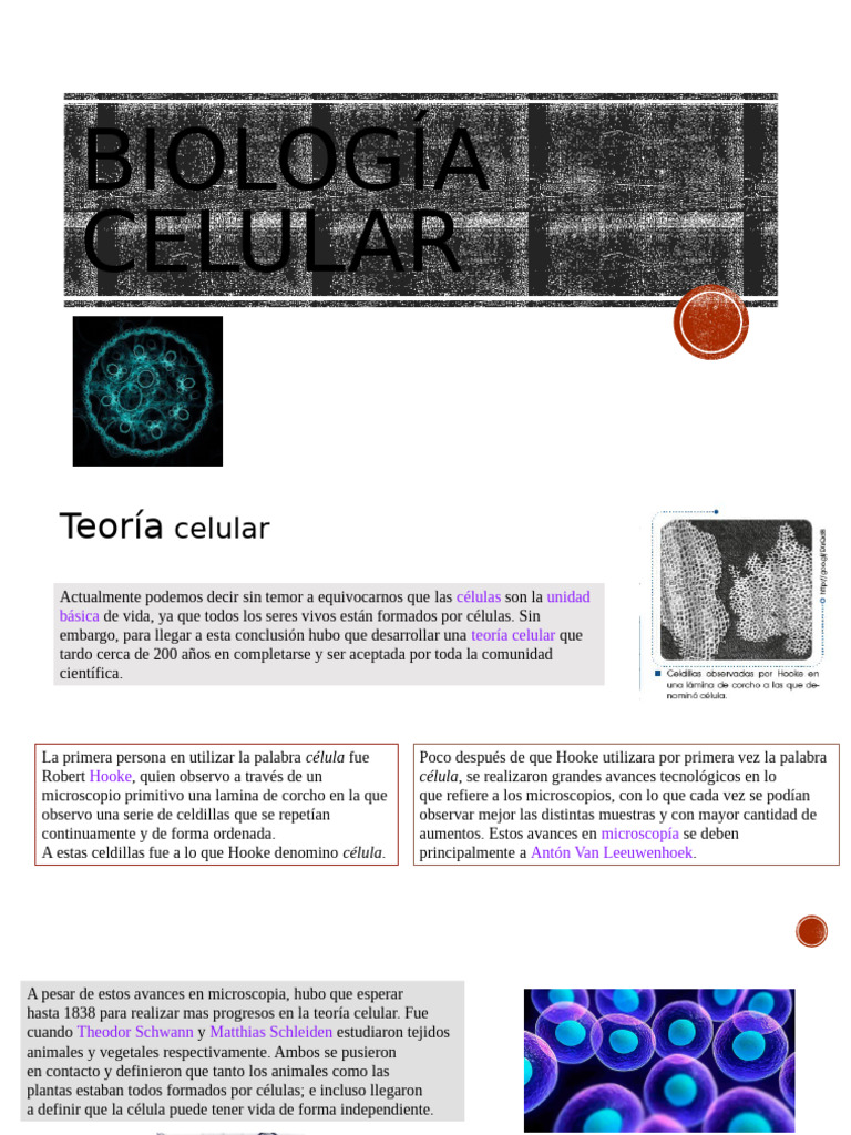 Biología Celular | PDF | Membrana celular | Biología Celular)