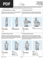 Wrist Isometric Exercise Program | PDF | Anatomical Terms Of Motion | Hand