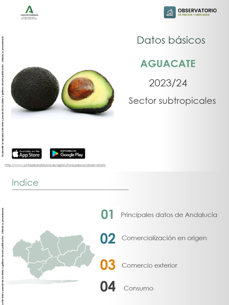 Datos Basicos Aguacate 2023 - 24 | PDF | Aguacate | España
