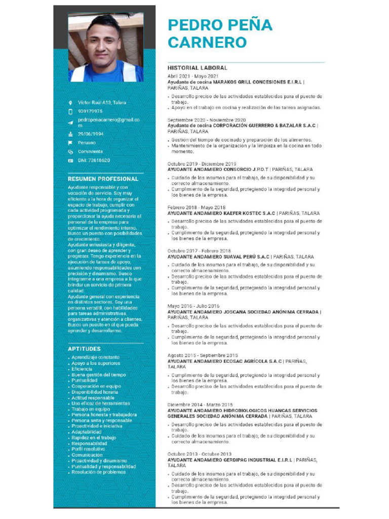 Currículum Vítae Pedro Pablo Peña Carnero | PDF