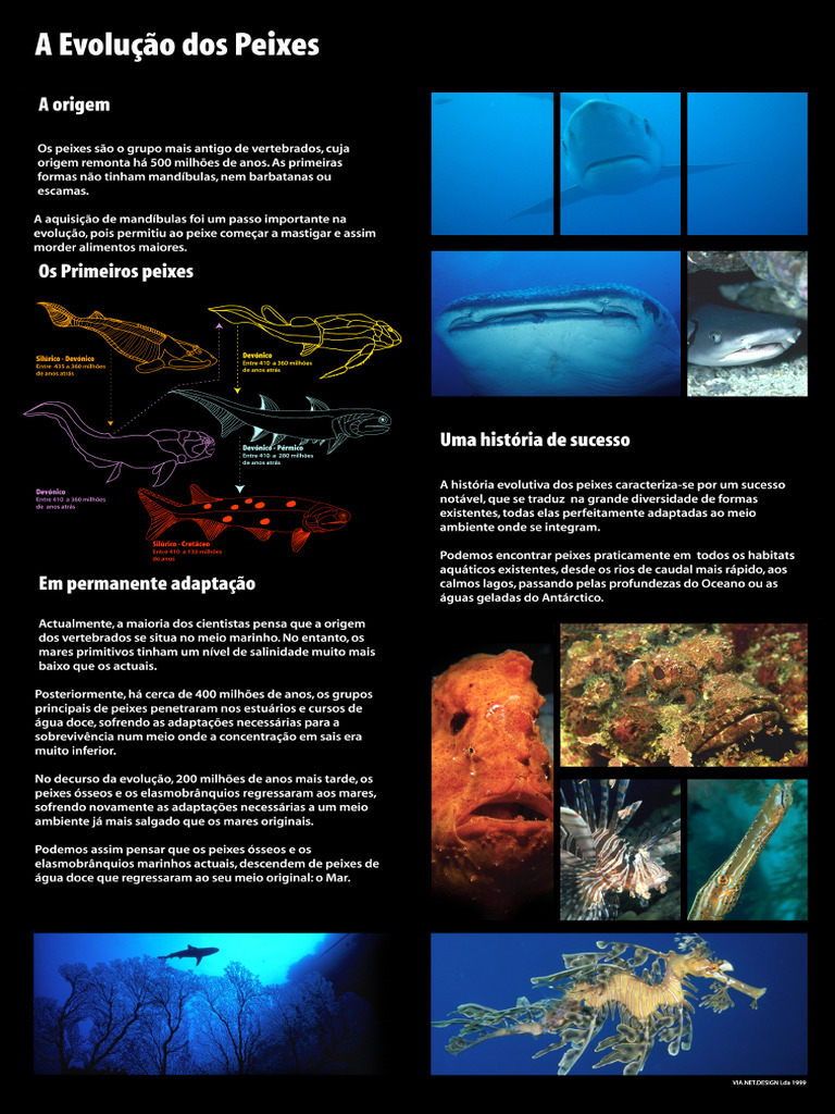 Evolucao Peixes | PDF