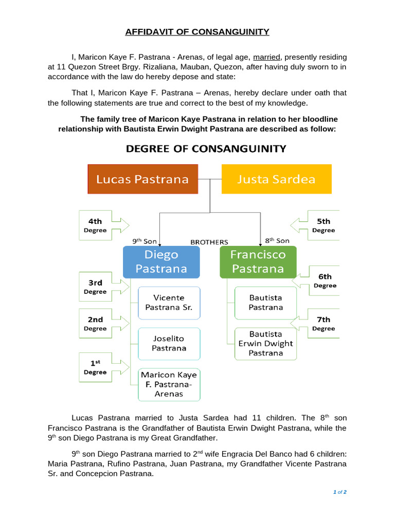 Affidavit of Consanguinity | PDF | Affidavit | Legal Procedure