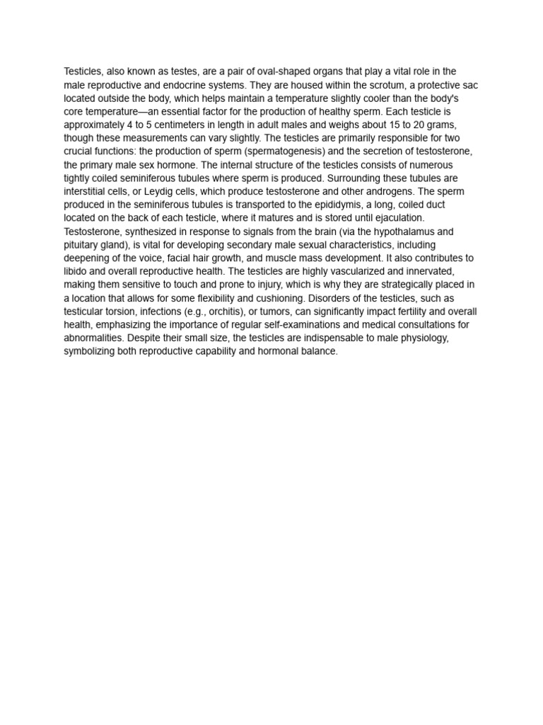Testicles: Function and Health Guide | PDF | Wellness