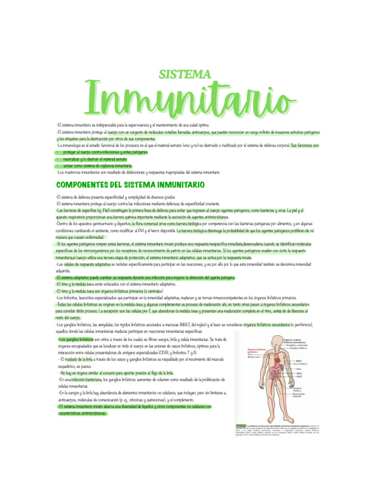Repaso de Inmuno | PDF | Sistema inmune | Célula T