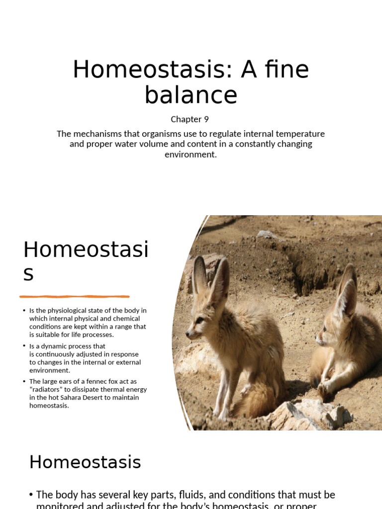 SBI4U Chapter 9 Homeostasis | PDF | Kidney | Homeostasis