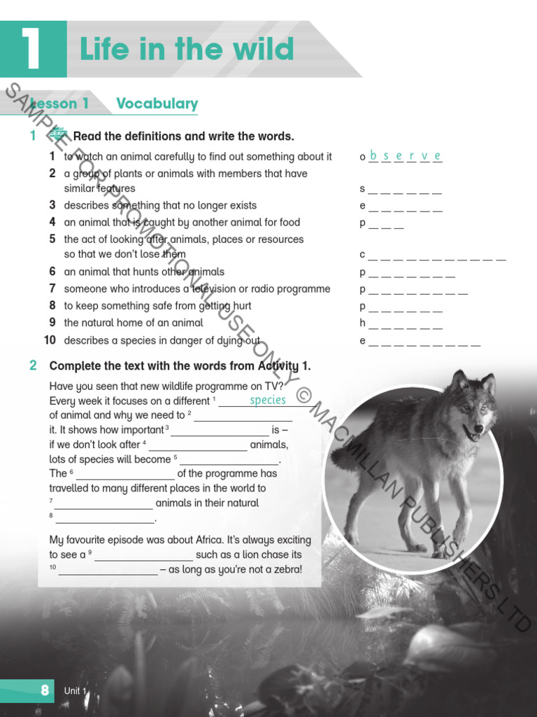 Academy Stars 6 Workbook Overview | PDF | Linguistics