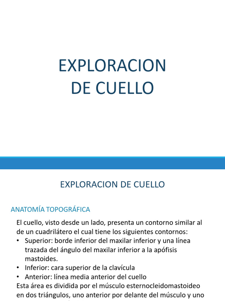 CUELLO | PDF | Anatomía humana | Cabeza y cuello humanos