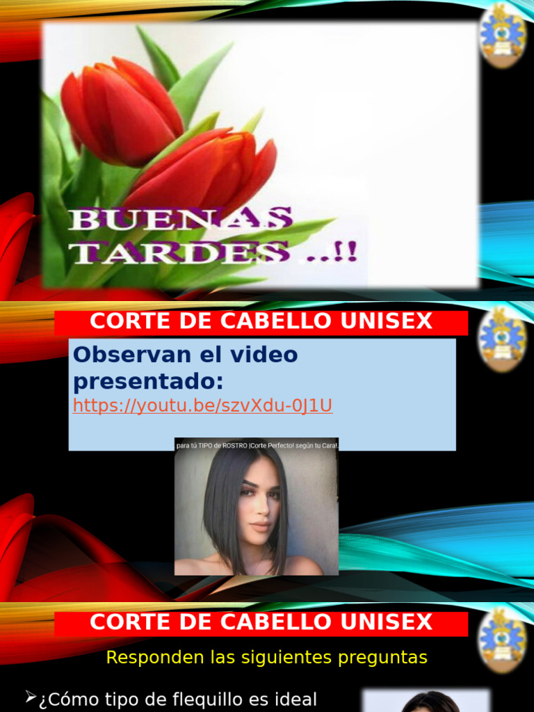 Técnicas de Corte Sólido Unisex | PDF | Pelo