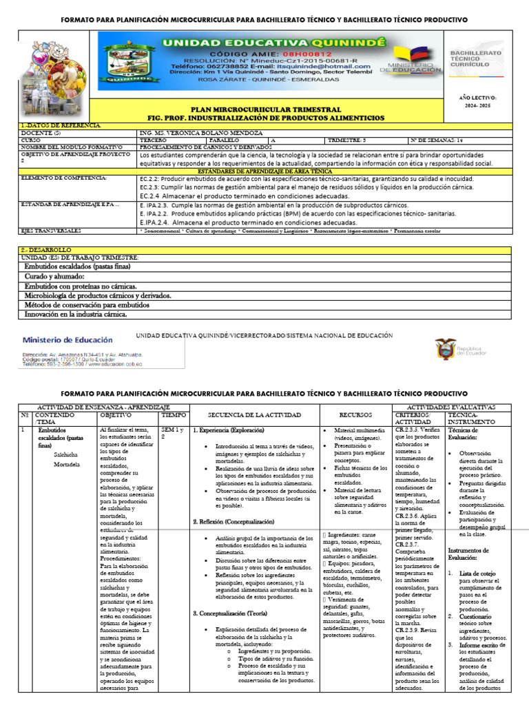 Plan Microc 3trim Carnicos 3ro Bta Ipa 2024-2025 | PDF | Salchicha | Carne