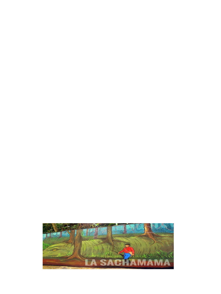 Resumen de La Sachamama | PDF
