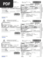 Remito Ejemplo | PDF