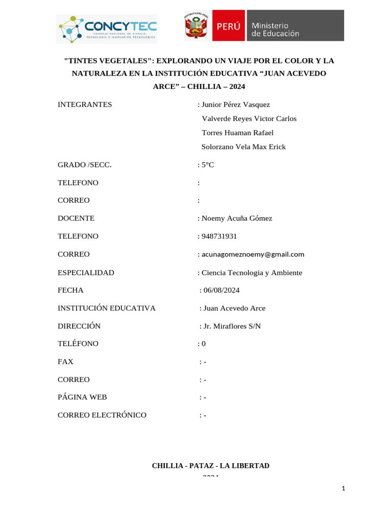 Informe de Fencyt 2 | PDF | Sustentabilidad | Fuerza