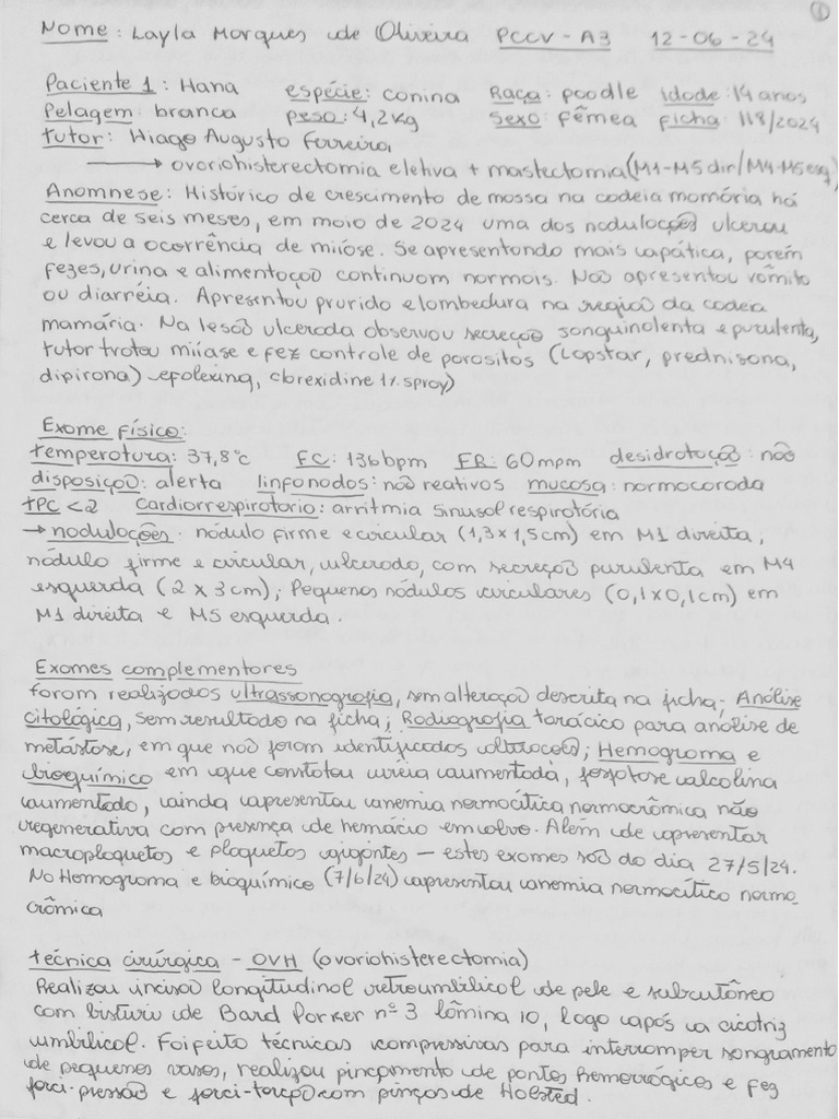 Layla Marques 12-06 PCCV A3 | PDF