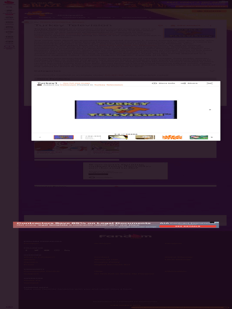 Turkey Television Nickelodeon Fandom | PDF | Entertainment | Television