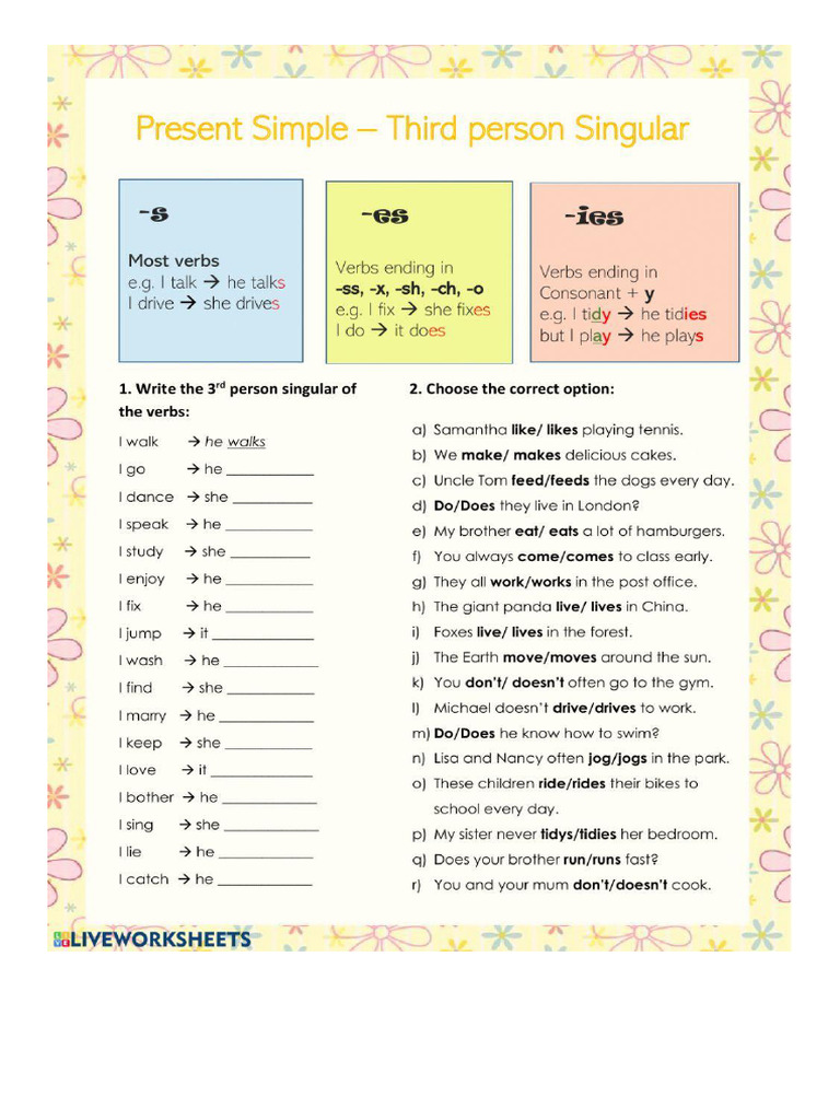 Worksheet 3rd Person | PDF