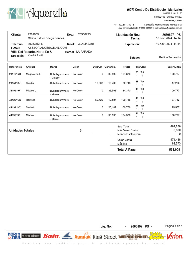 Resumen de Pedido Manisol S.A. | PDF