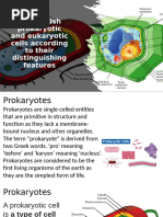 Prokaryotic Cells Revision Notes - A-Level Biology CIE - Cognito | PDF