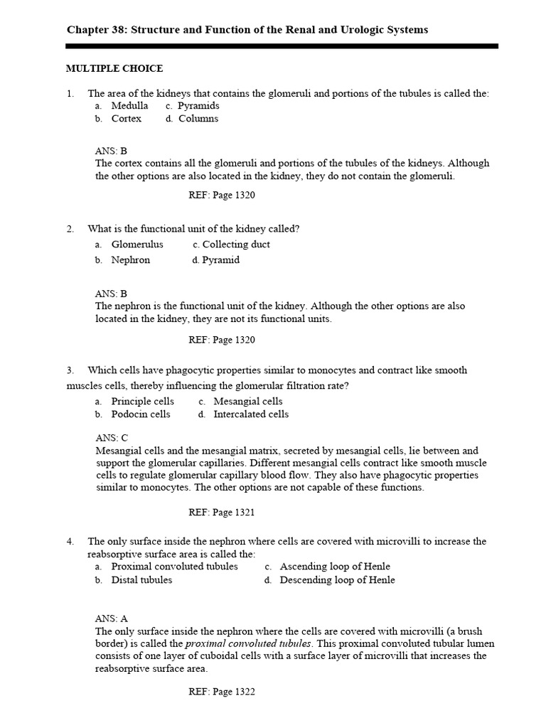 NURS611 - McCance&Huether (9th) - Ch.38 - Structure & Function Renal & Urologic Systems | PDF ...