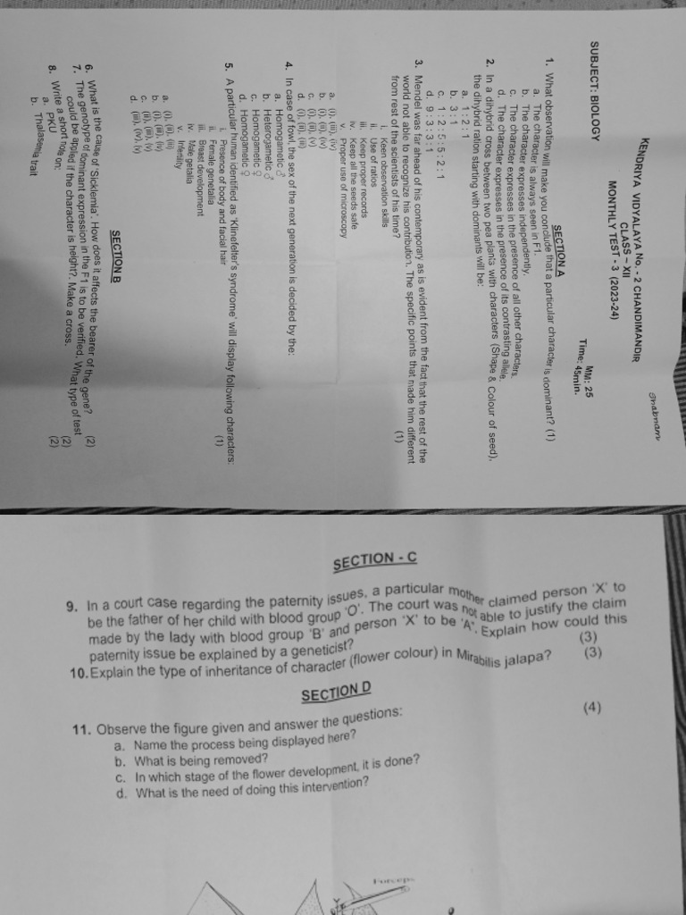 Monthly Test 2 | PDF