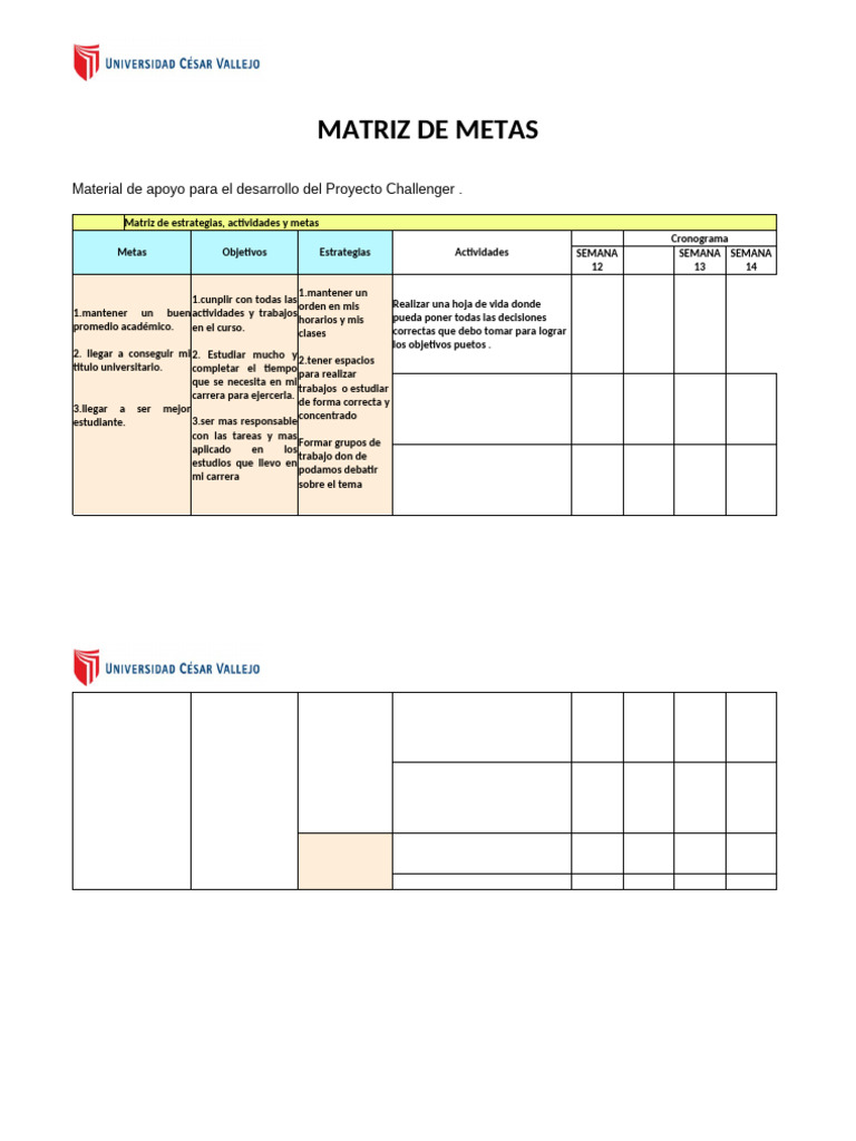 Matriz de Metas 12 | PDF | Crecimiento personal y profesional