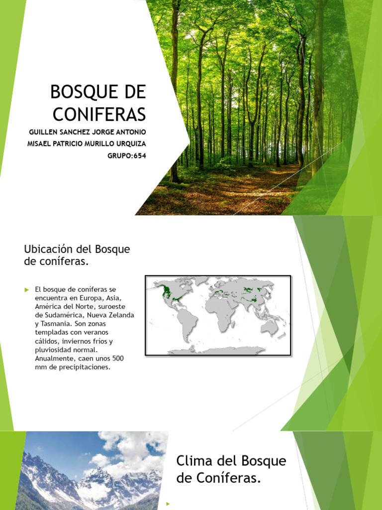Bosque de Coniferas | PDF | Clima templado | Precipitación