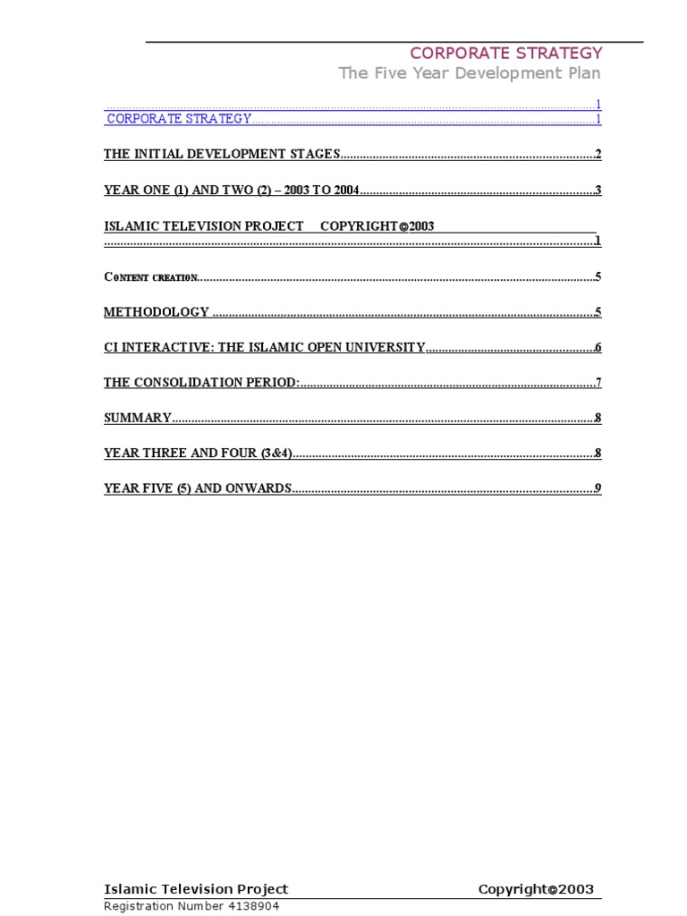 5 Year Development Plan | Marketing | Strategic Management