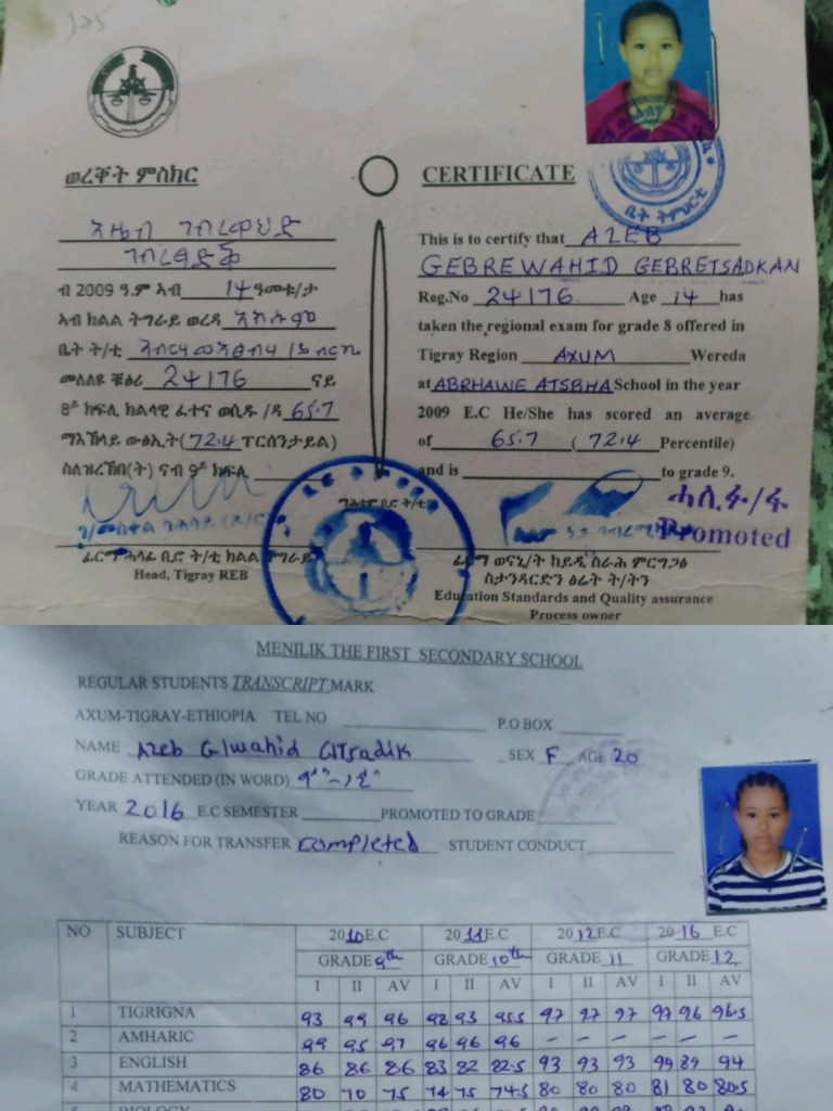 PDF_Phoenix_20241124_170717 | PDF