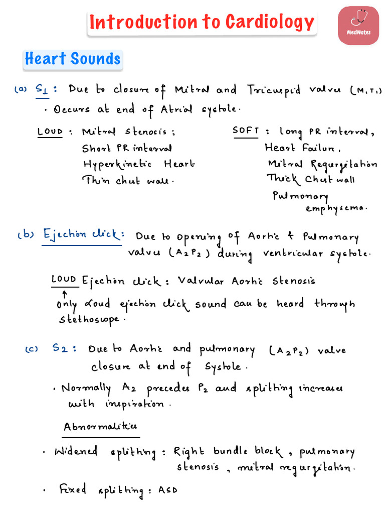 Heart Sounds and ECG Basics in Cardiology | PDF | Heart | Angiology