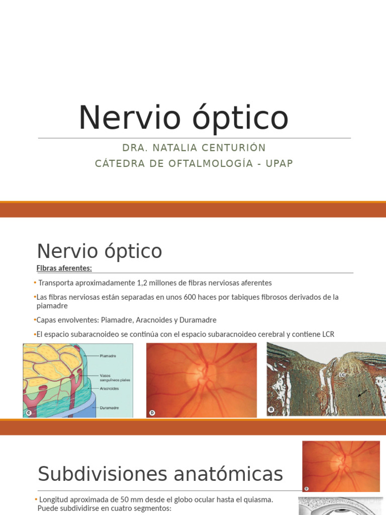 Nervio Óptico | PDF | Percepción visual | Enfermedades y trastornos