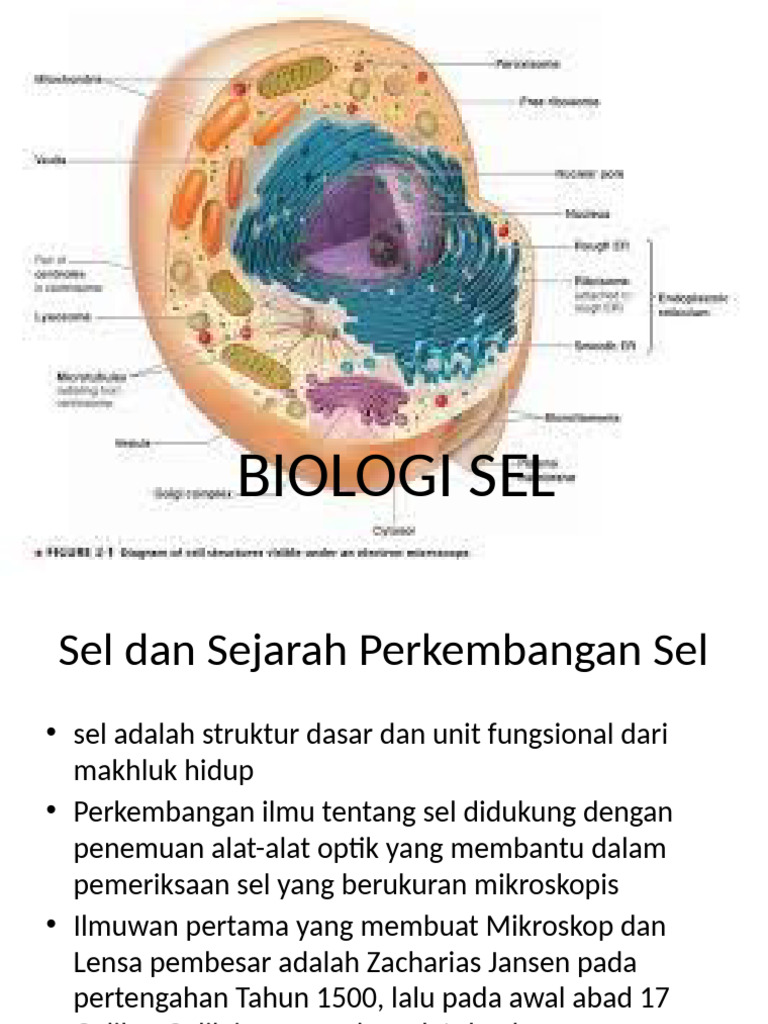 Sejarah dan Struktur Biologi Sel | PDF | Kesehatan Holistik | Sains ...
