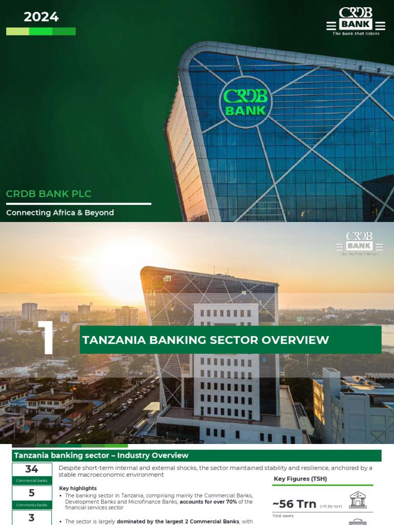 Tanzania Banking Sector Overview 2024 | PDF | Banks | Financial Inclusion