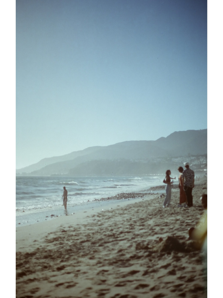 IPANEMA | PDF