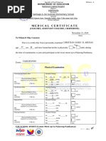 Pnpa Bmi Form | PDF