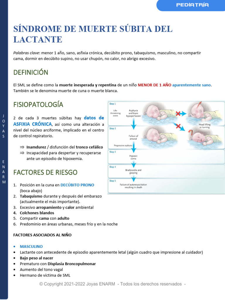 Síndrome de Muerte Súbita Del Lactante | PDF