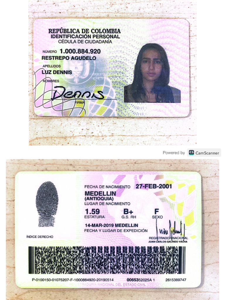 Luz Dennis Restrepo Agudelo | PDF