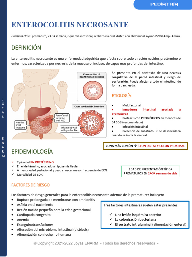 Enterocolitis Necrosante | PDF | Gastroenterología | Causas de la muerte