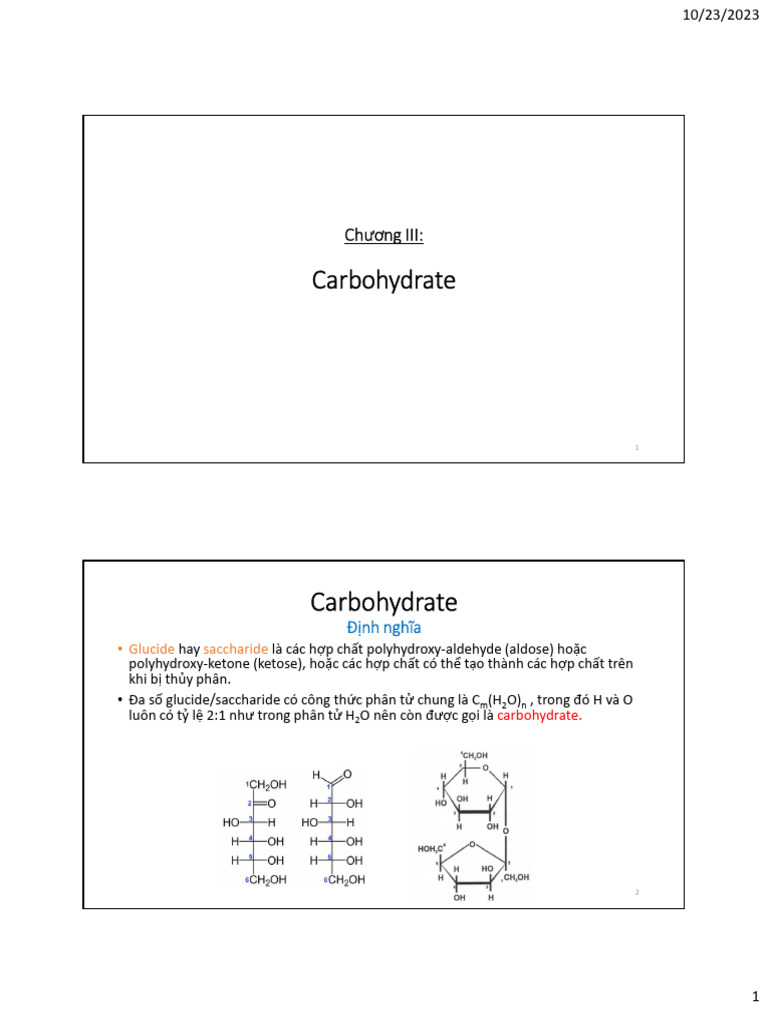 Chương 3 - Carbohydrate - 2024 - Handout | PDF
